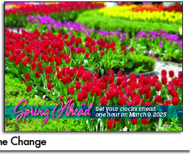 ReaMark™ Real Estate Marketing Products | Real Estate Promotional items