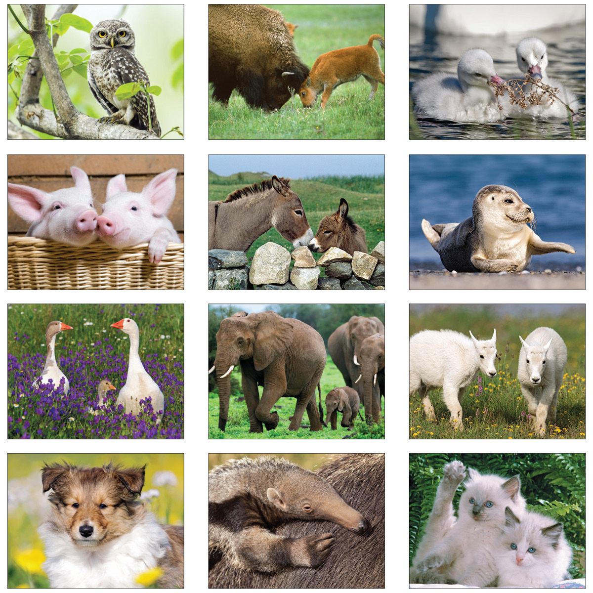 ReaMark Products: Old Farmers Almanac Baby Animals Calendar